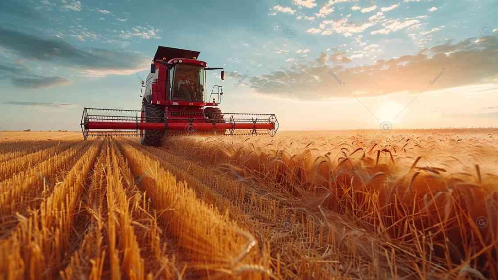 The Rise of Big Farms: Exploring Modern Agricultural Enterprises ...